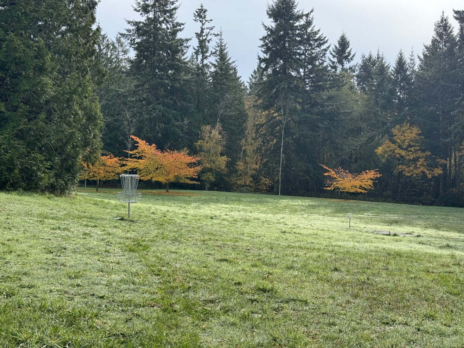 Exploring Native Culture at Chief Kitsap Academy: Disc Golf, Salmon ...