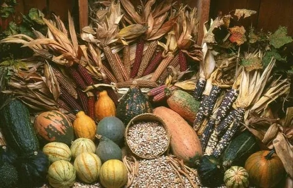 Native America Tribal Nations Mini-Lesson: Mohawk Nation - PowWows.com