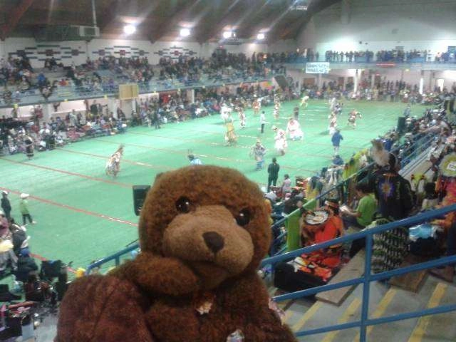How a Bear Brings Happiness on the Pow Wow Trail - PowWows.com